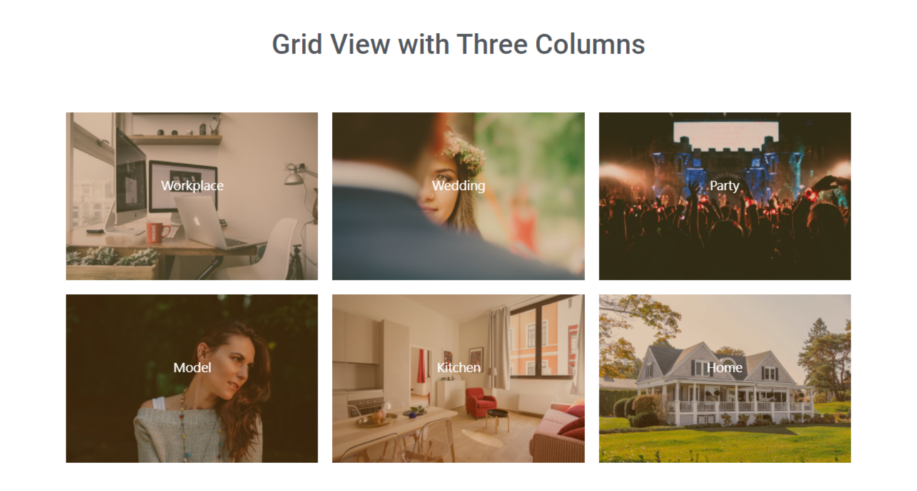 Gallery Showcase Pro for WordPress by techeshta | CodeCanyon